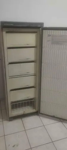 "prosdocimo geladeira" - Geladeiras e Freezers no Brasil