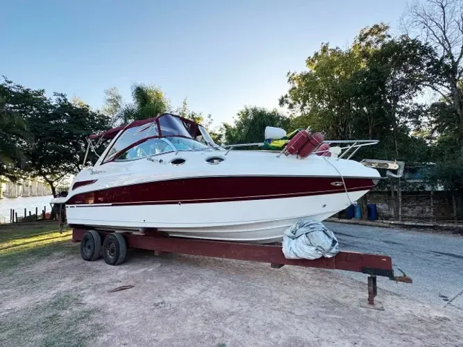 "cimitarra" no Brasil