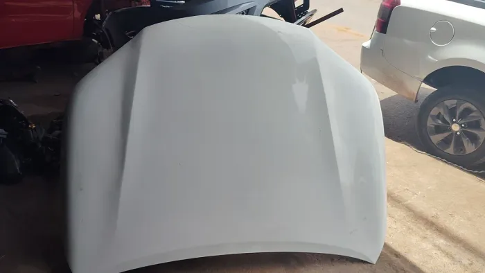 "capo de carro" - Peças para carros, vans e utilitários no Brasil