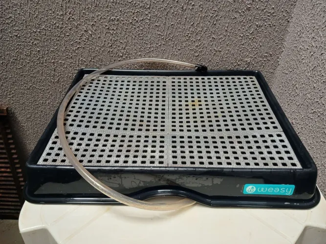 "weasy banheiro cachorro" no Brasil