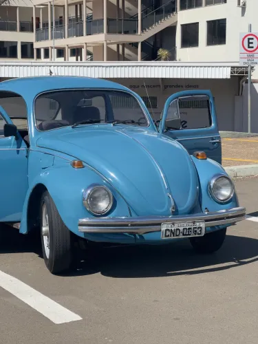 Volkswagen Fusca 1979 Usados e Novos