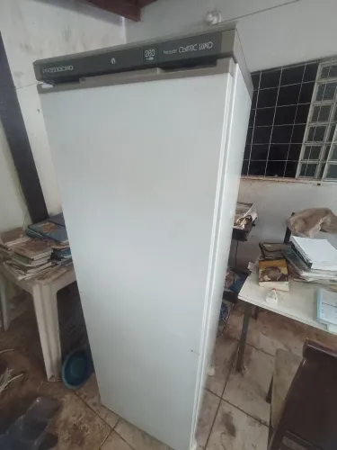 "prosdocimo geladeira" - Geladeiras e Freezers no Brasil