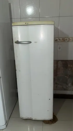 "geladeiras simples" - Geladeiras e Freezers no Brasil