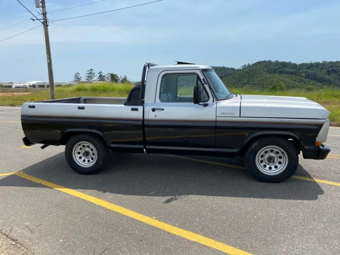 Ford F-1000 Usados e Novos em SP