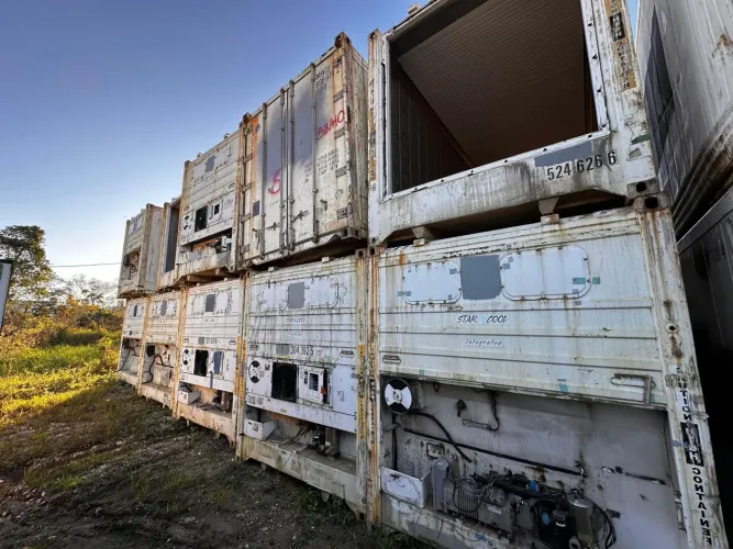 "container frigorifico refrigerado" no Brasil