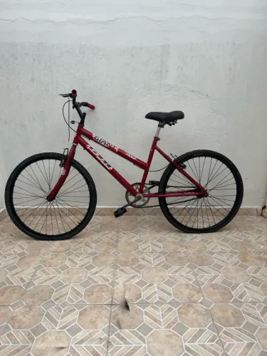 "bicicletas simples" no Brasil