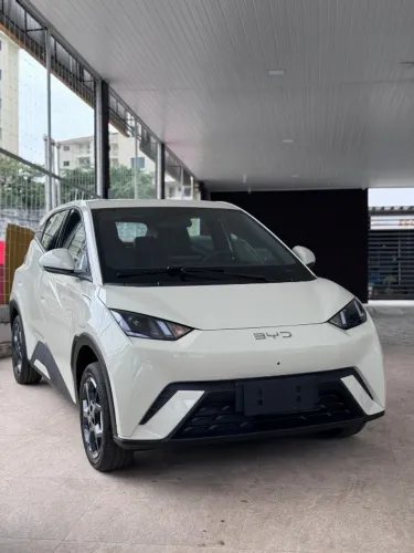 BYD Dolphin Mini (Elétrico) Usados e Novos em Manaus e região, AM
