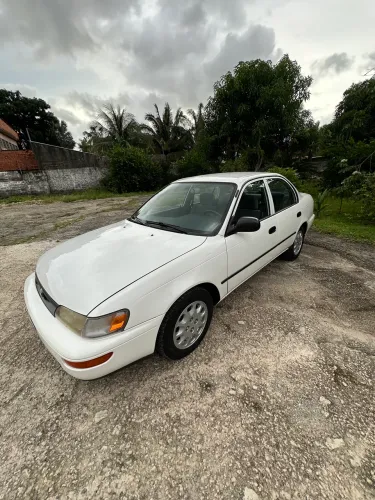 Toyota Corolla 1995 Usados e Novos