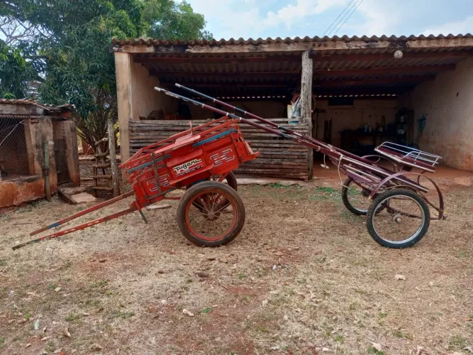 "carroca de animal" no Brasil