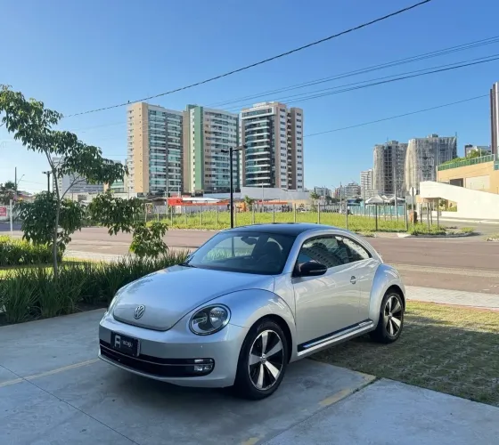 Volkswagen Fusca 2.0 TSI 16V Aut. Usados e Novos