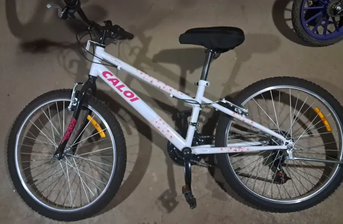 "bicicleta ceci" - Ciclismo no Brasil