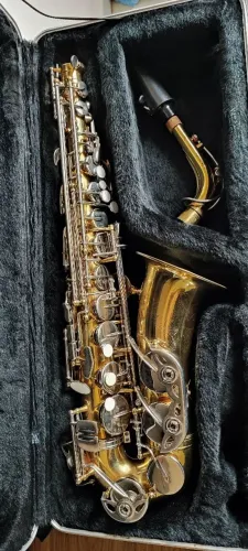 "saxofone alto" - Instrumentos musicais no Brasil