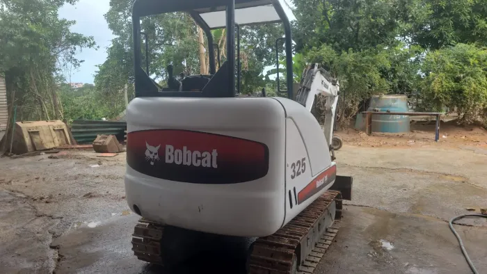 "mini bobcat" no Brasil