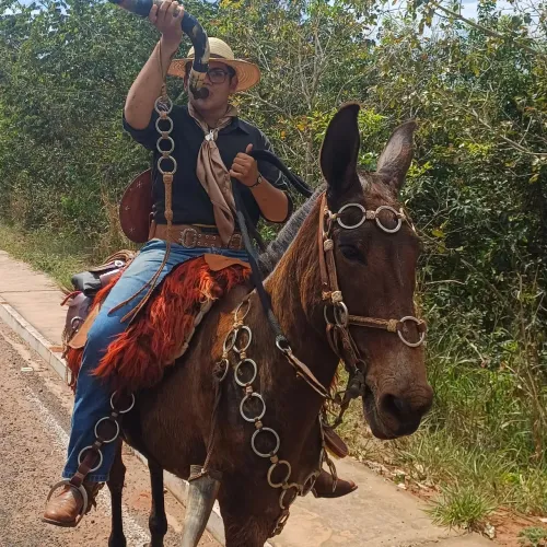 "uma mula" no Brasil