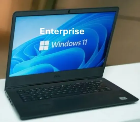 "windows 1" no Brasil