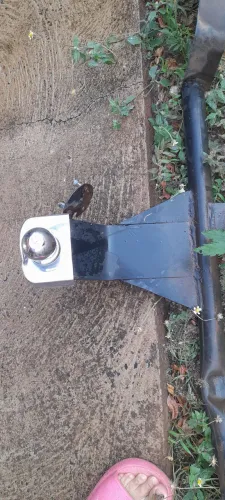 "rabicho ou rabicho" no Brasil