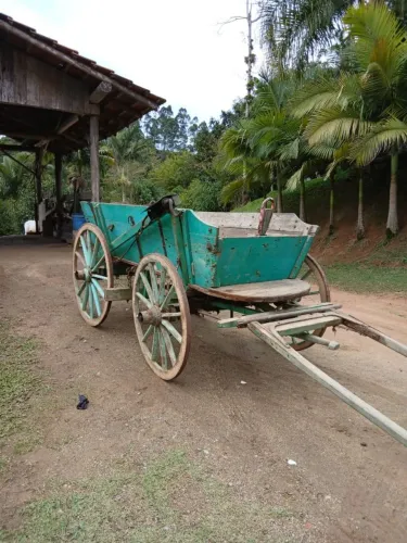 "carroca antiga" no Brasil