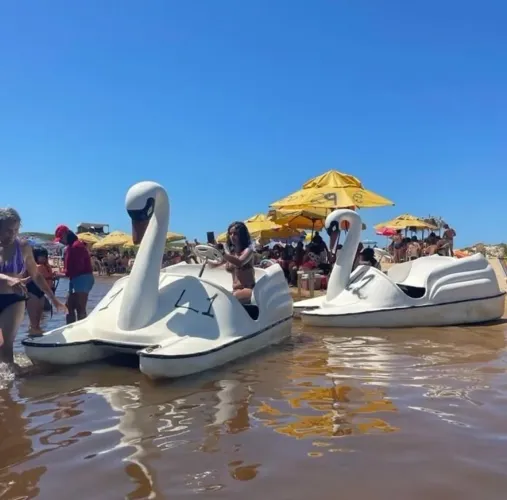 "pedalinho" no Brasil