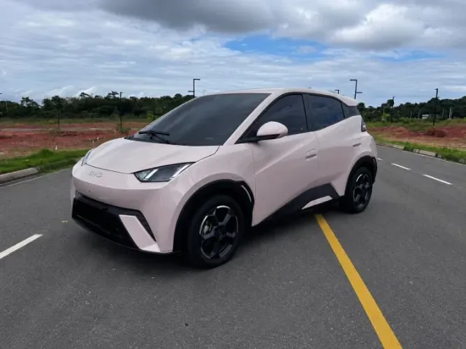 BYD Dolphin Mini (Elétrico) Usados e Novos em Manaus e região, AM