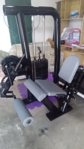 "cadeira extensora" no Brasil