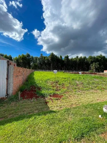 Terreno e lotes à venda - Missal, PR | OLX