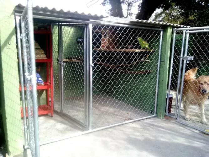 "cercado para cachorro" no Brasil