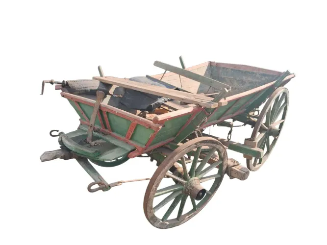 "carroca antiga" no Brasil