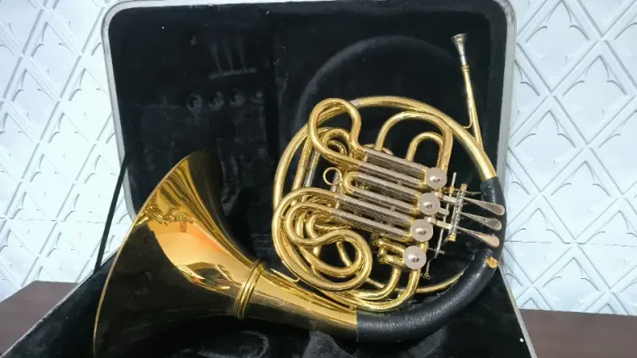 "instrumento trompa" no Brasil