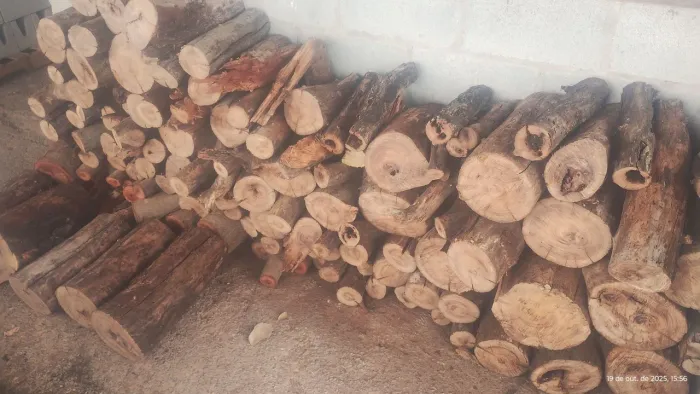 "rachadores de lenha" no Brasil