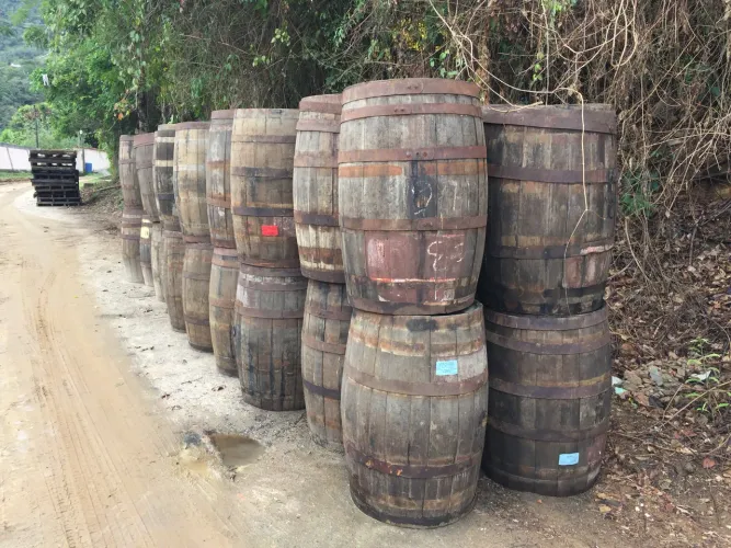 "barril de madeira" no Brasil