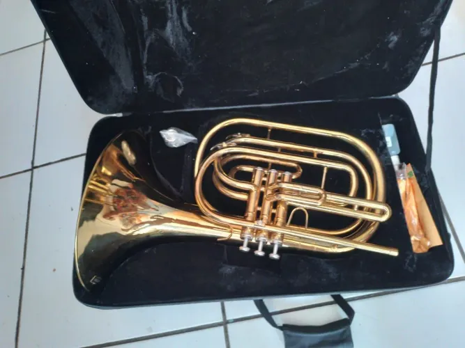"instrumento trompa" no Brasil