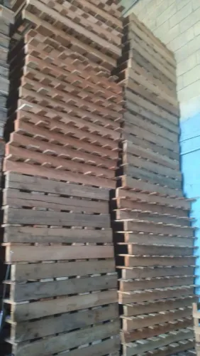 "barrote pinus" no Brasil
