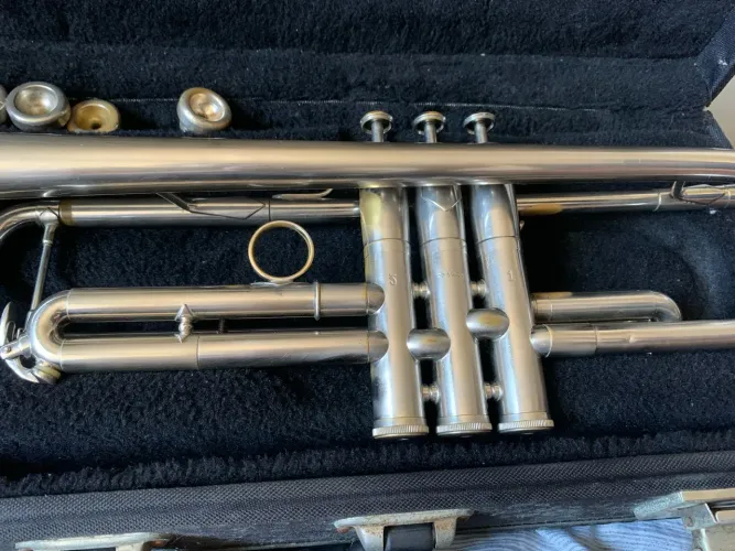 "trompete profissional" - Instrumentos musicais no Brasil