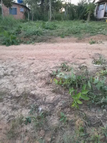 "lote em morada nova de minas" no Brasil