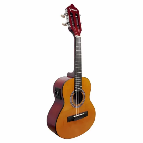 "instrumentos carron" no Brasil