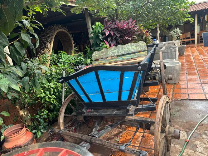 "carroca de animal" no Brasil