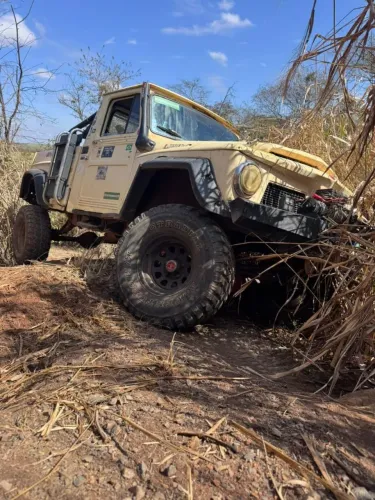 Ford F-75 Usados e Novos