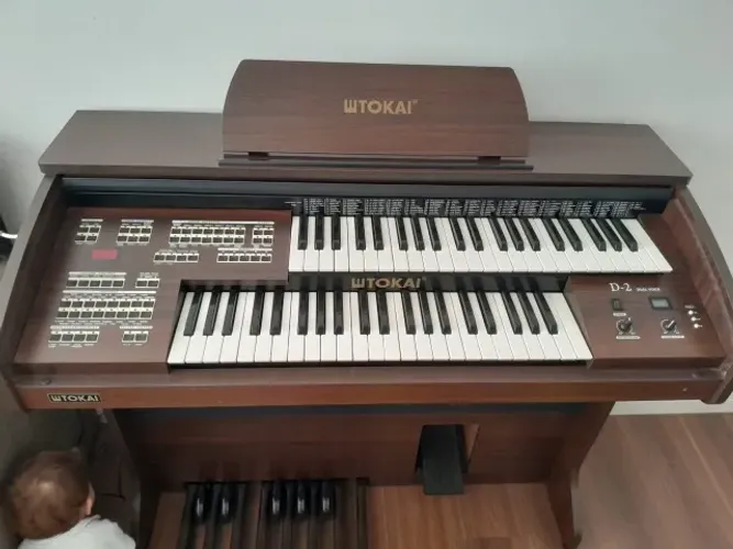 "orgao tokai" no Brasil