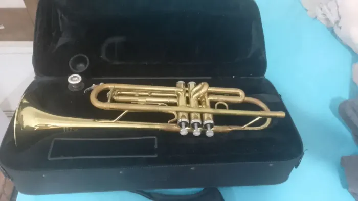 "instrumentos carron" no Brasil