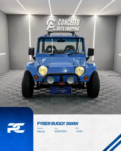 Fyber Buggy Usados e Novos