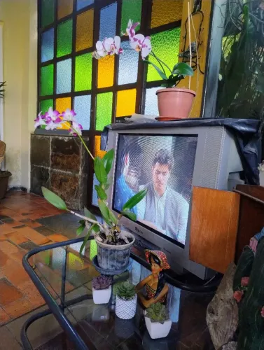 "tv 29 polegadas tela plana samsung" - TVs no Brasil