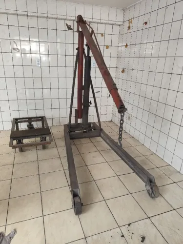 "girafa motor" no Brasil