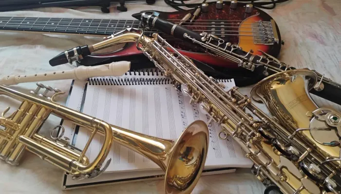 "instrumentos carron" no Brasil