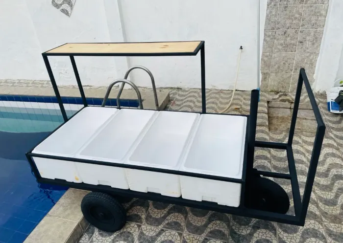 "carroca de animal" no Brasil