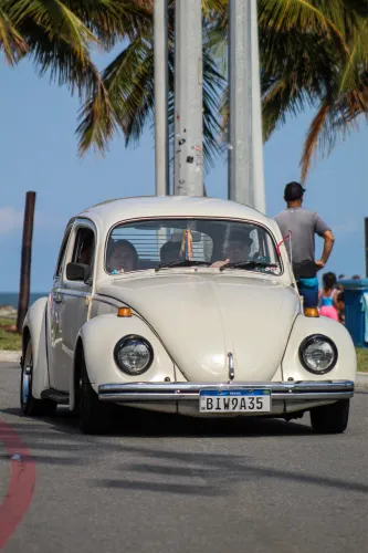 Volkswagen Fusca 1979 Usados e Novos