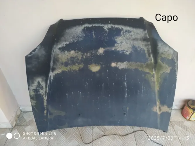 "capo de carro" - Peças para carros, vans e utilitários no Brasil