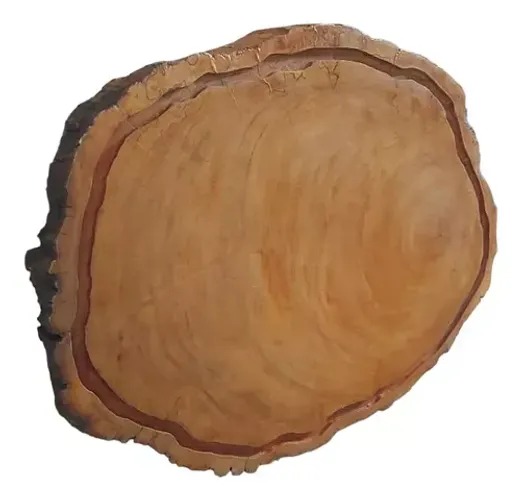 "tora de madeira" no Brasil