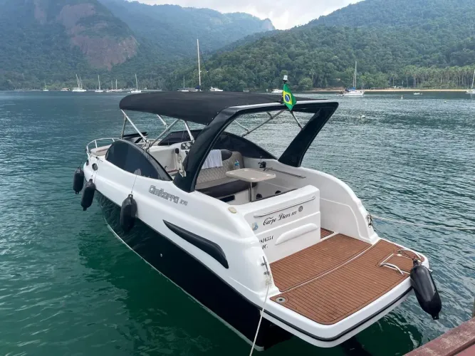 "cimitarra" no Brasil