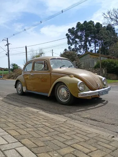 Volkswagen Fusca 1976 Usados e Novos