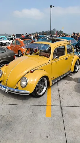 Volkswagen Fusca 1971 Usados e Novos